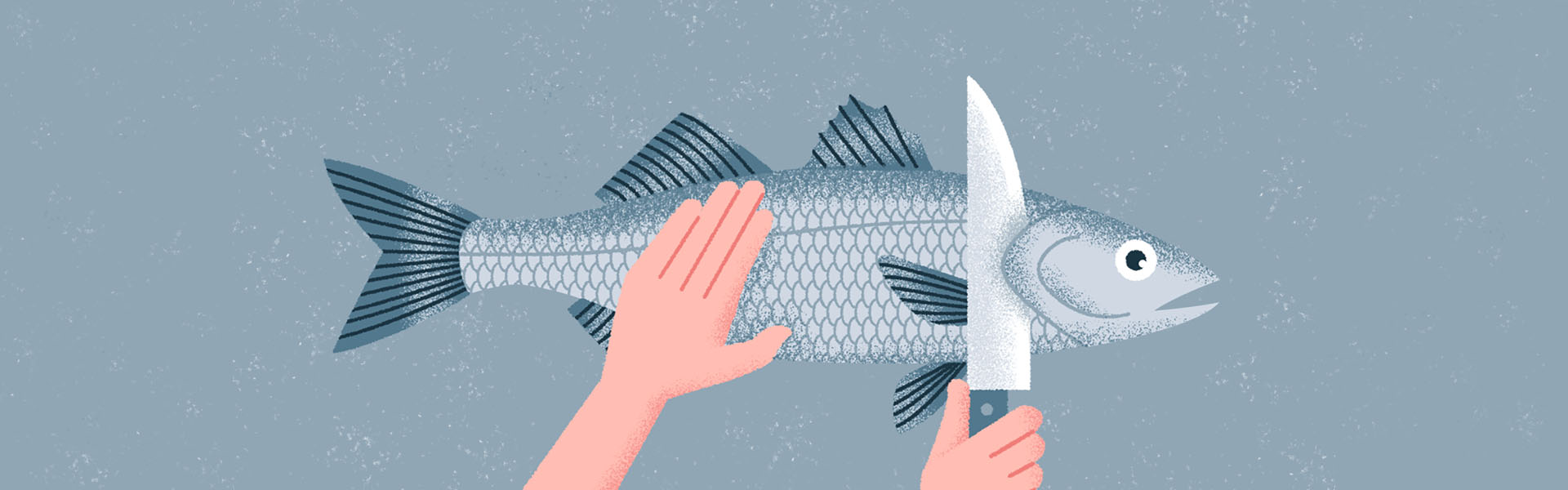 Technique Thursdays: Ike Jime, The Japanese Slaughter Method For ...