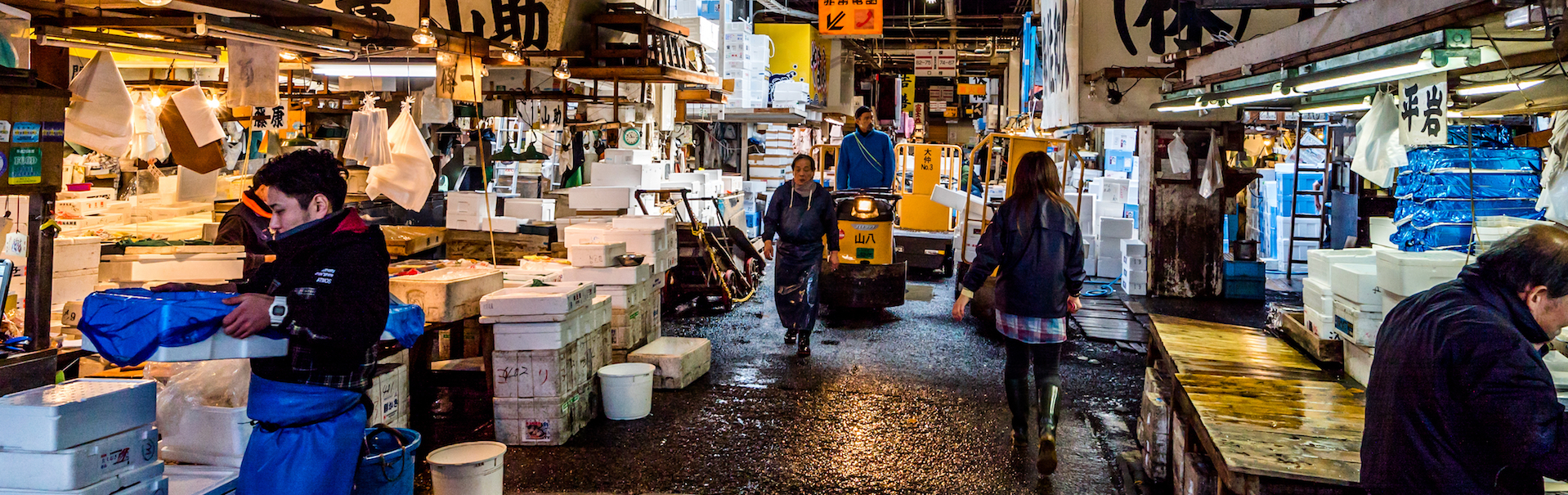 A Guide for the Final Visit to the Tsukiji Market